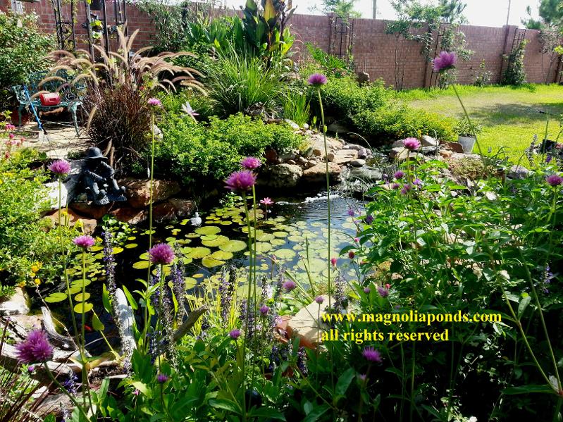 Water gardens Spring, Water Gardens Conroe, Water Gardens The Woodlands ...