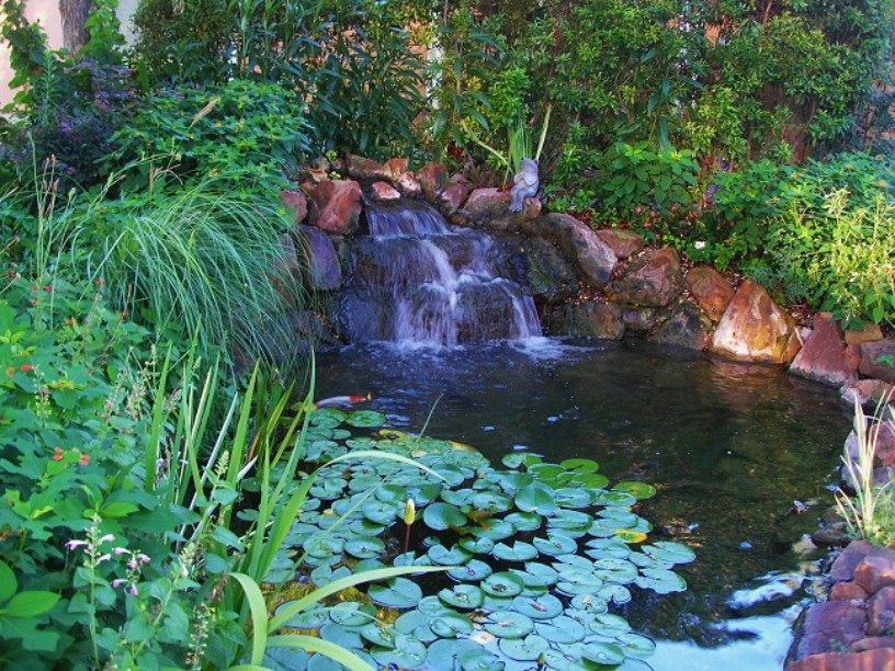 Water gardens Spring, Water Gardens Conroe, Water Gardens The Woodlands ...