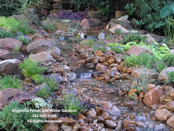 magnolia ponds