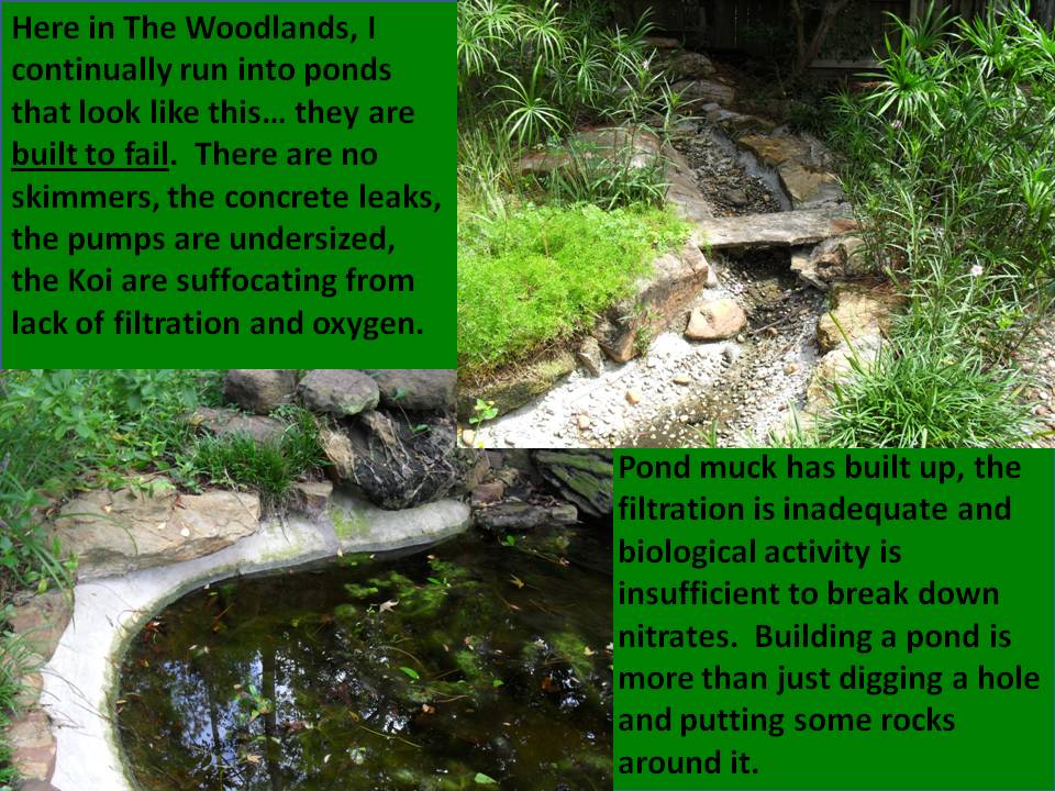 Magnolia Ponds And Water Gardens at Timothy Bottom blog